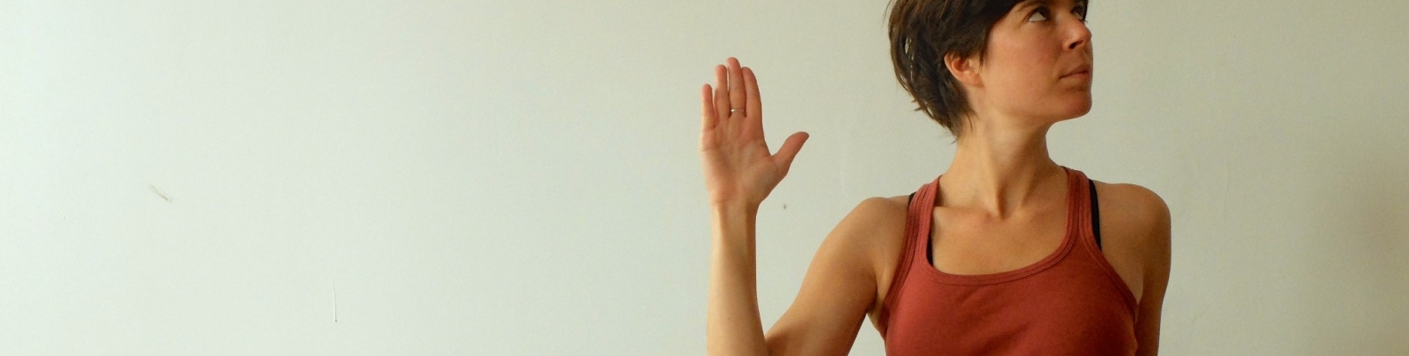 Isabelle Vass, professeure de Yoga Iyengar - Amaté